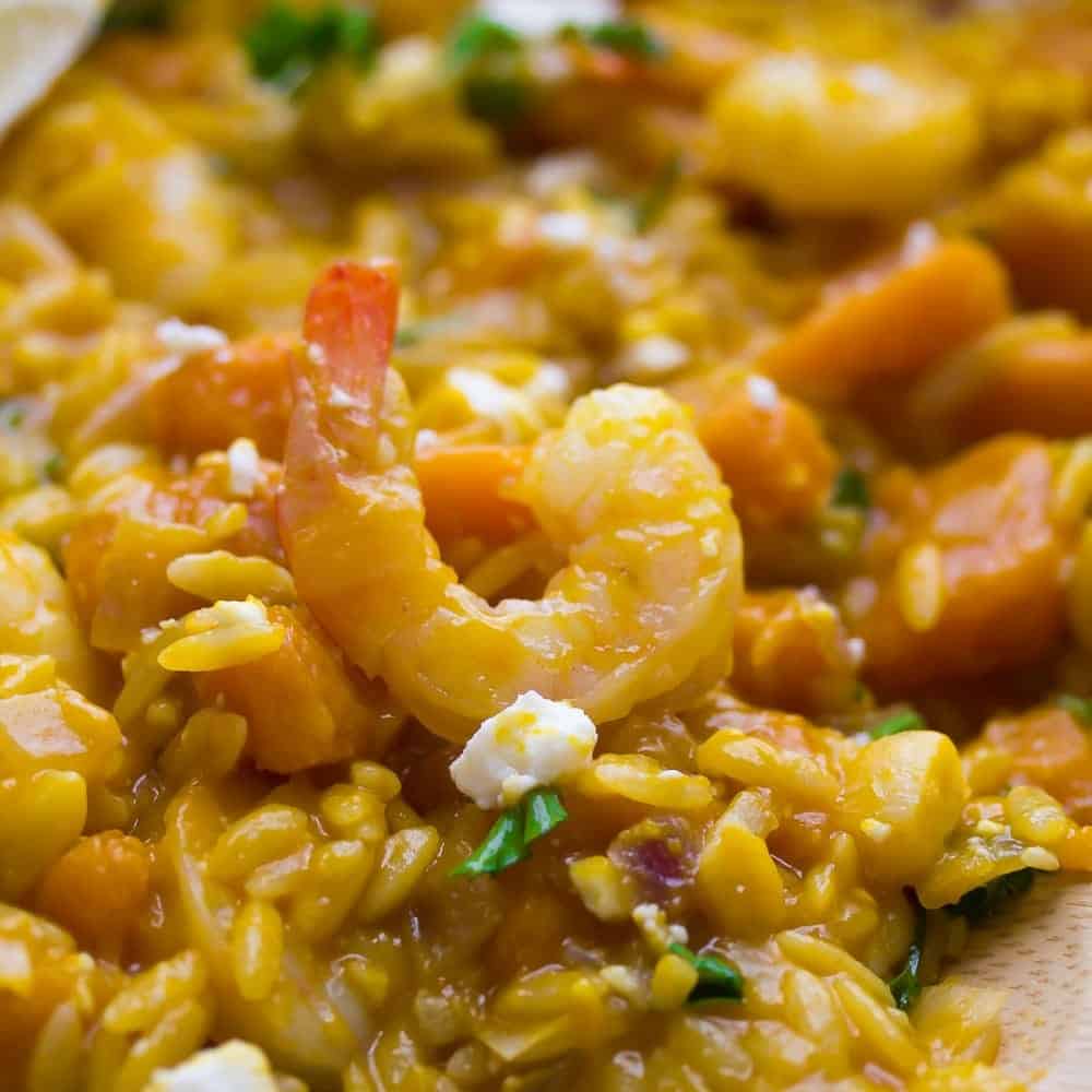 One Pot Shrimp and Squash Orzo Recipe | Sweet Peas & Saffron